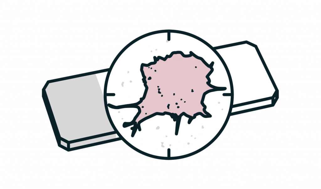 science-infographic | X-ZELL
